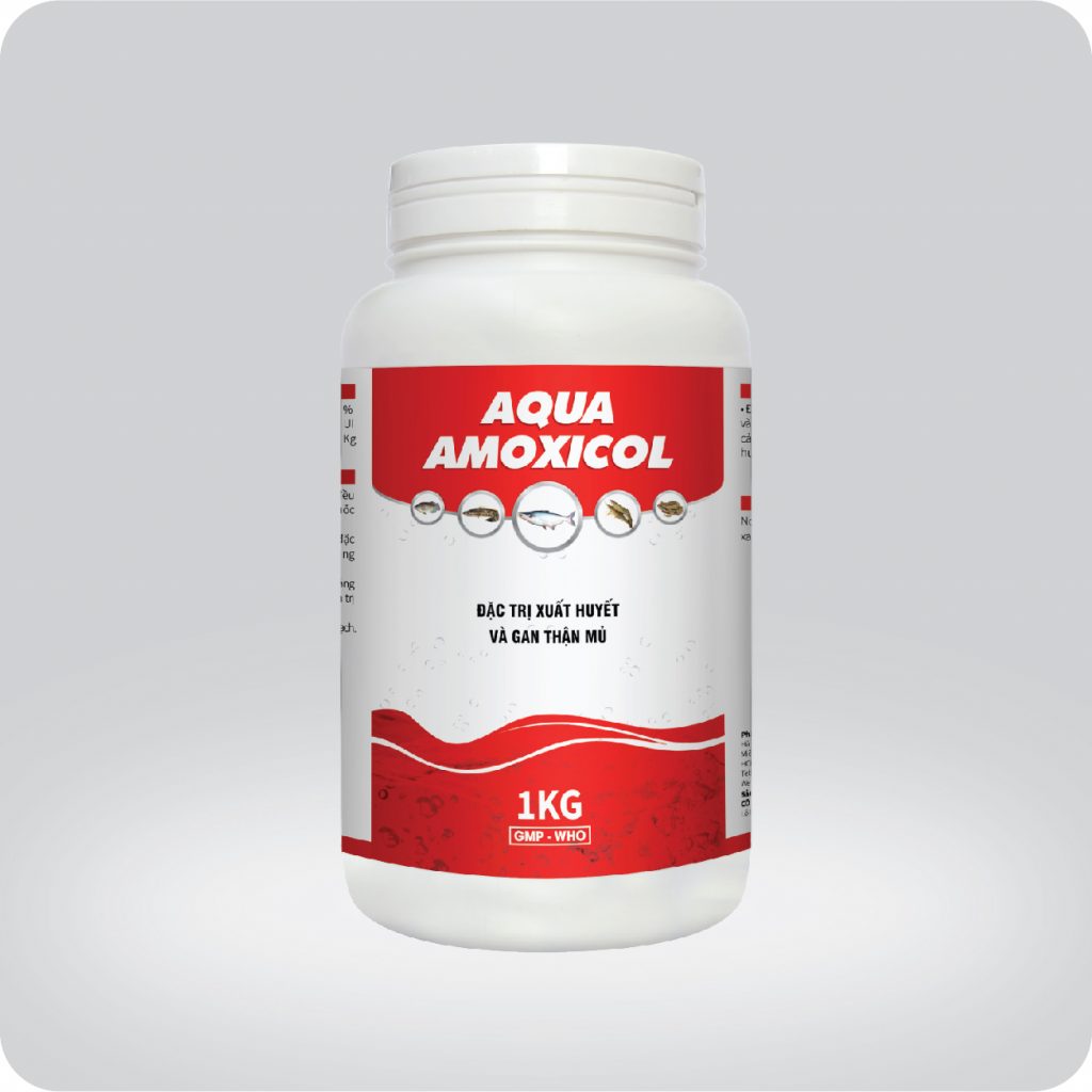 AQUA AMOXICOL POWDER – Omega Pharma