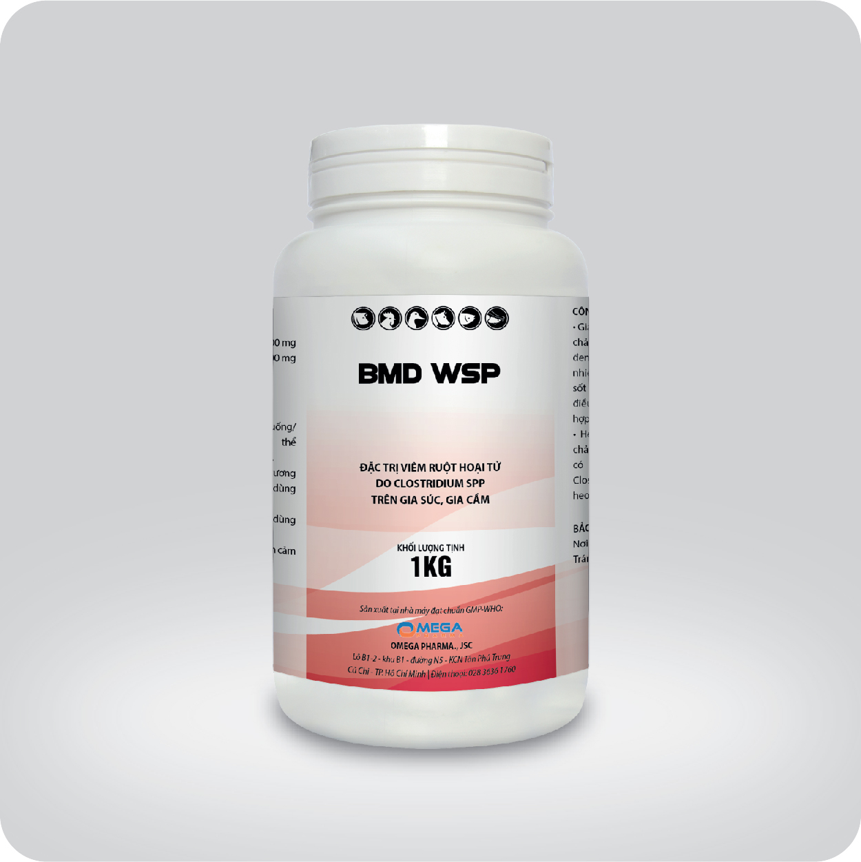 NORFLOX ORAL – Omega Pharma